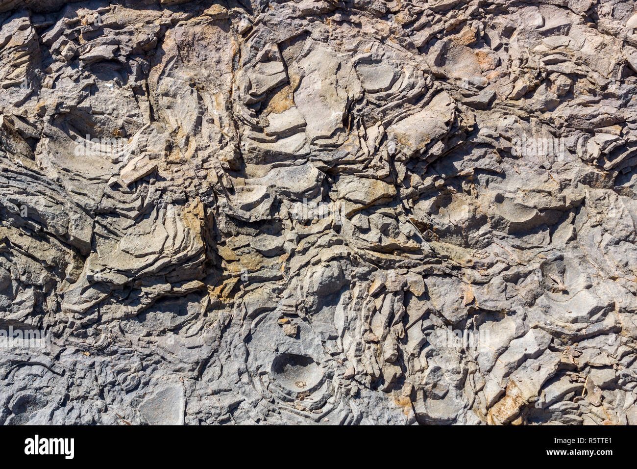 Sedimentary rock. Structure of natural stone. Background Stock Photo ...