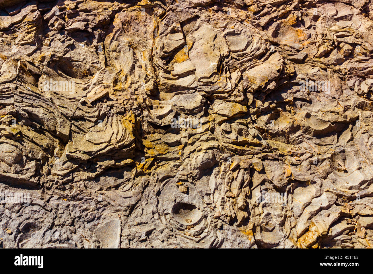 Sedimentary rock. Structure of natural stone. Background Stock Photo ...