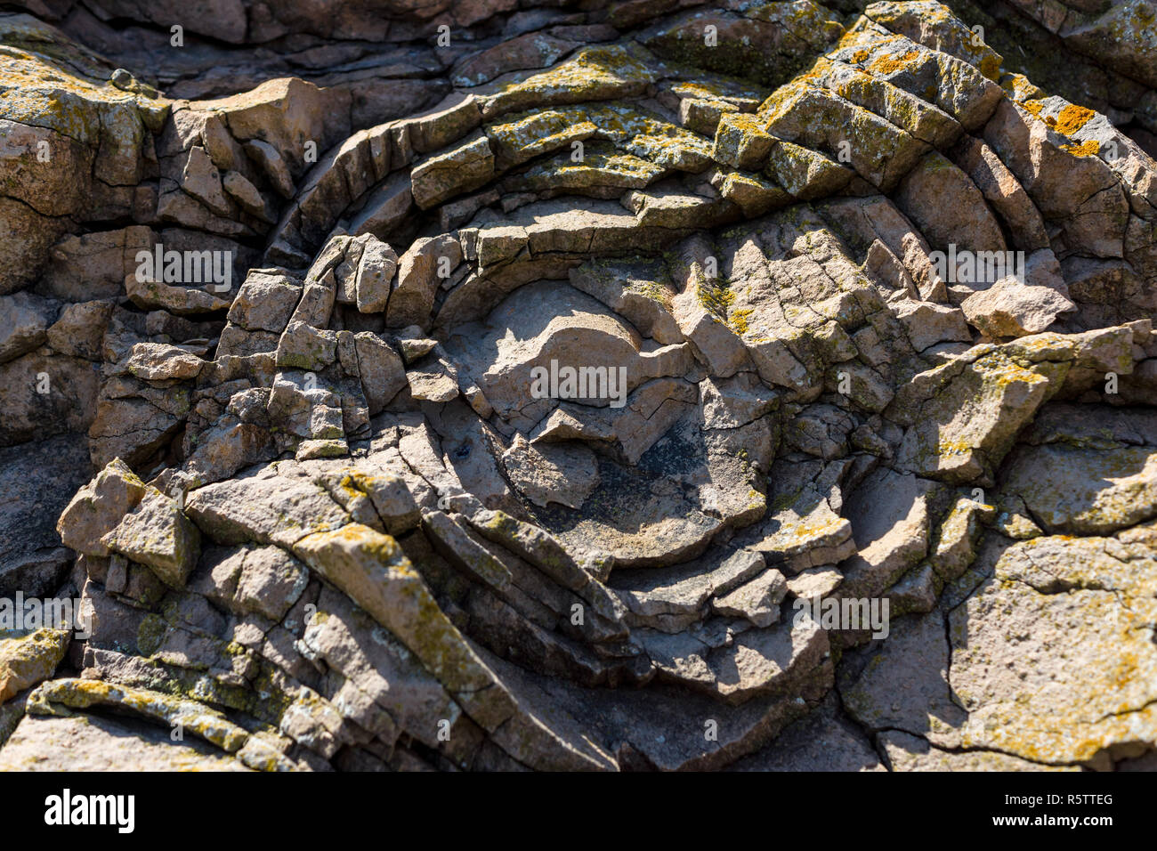 Sedimentary rock. Structure of natural stone. Background Stock Photo ...
