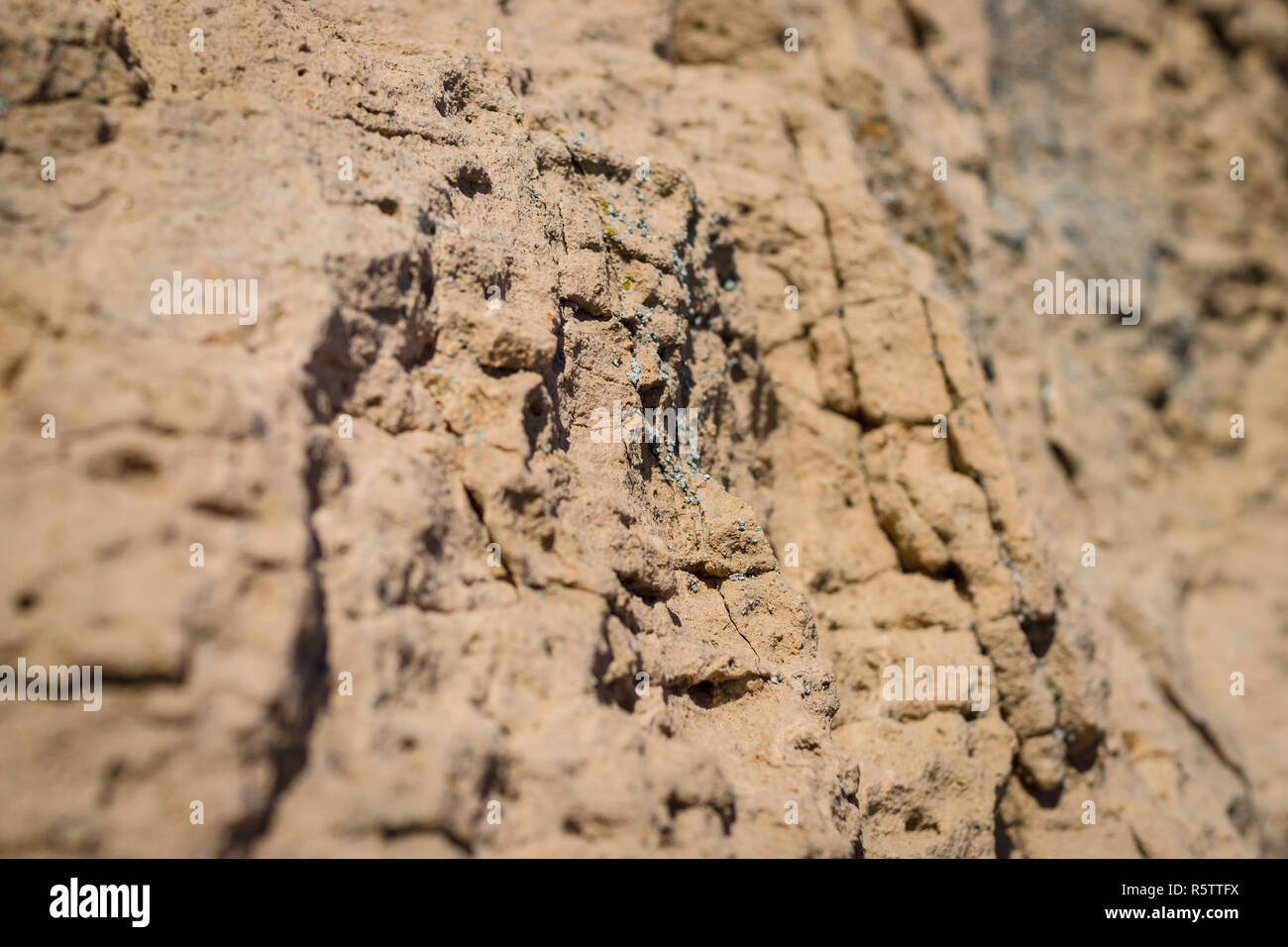 Sedimentary rock. Structure of natural stone. Background. Shallow depth ...