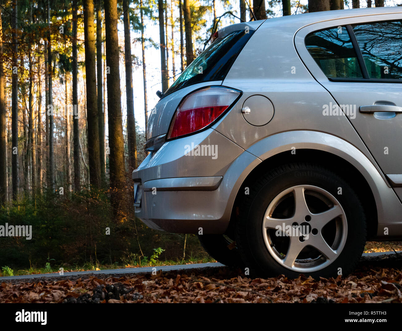 Close up Image of car parking on the street in the woods during day ...
