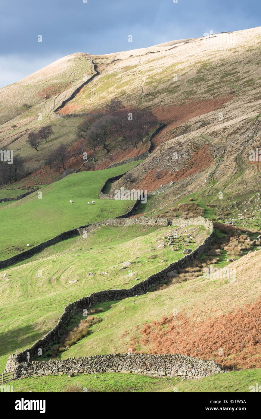 Sheep pasture and unimproved grassland in the Peak District, England ...