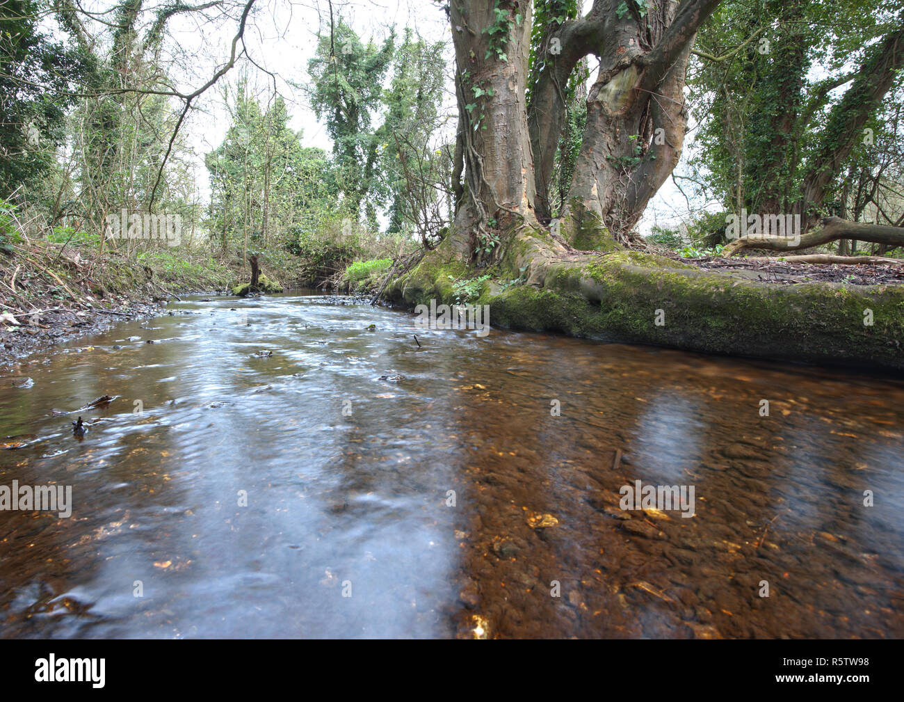 Nottingham forest fire hi-res stock photography and images - Alamy