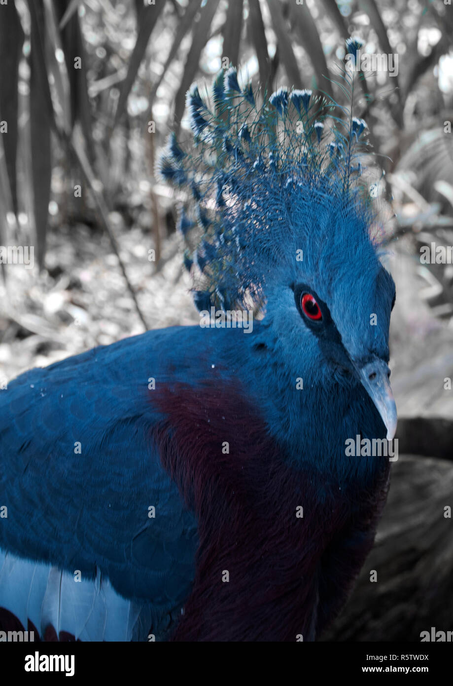 Twycross family hi-res stock photography and images - Alamy