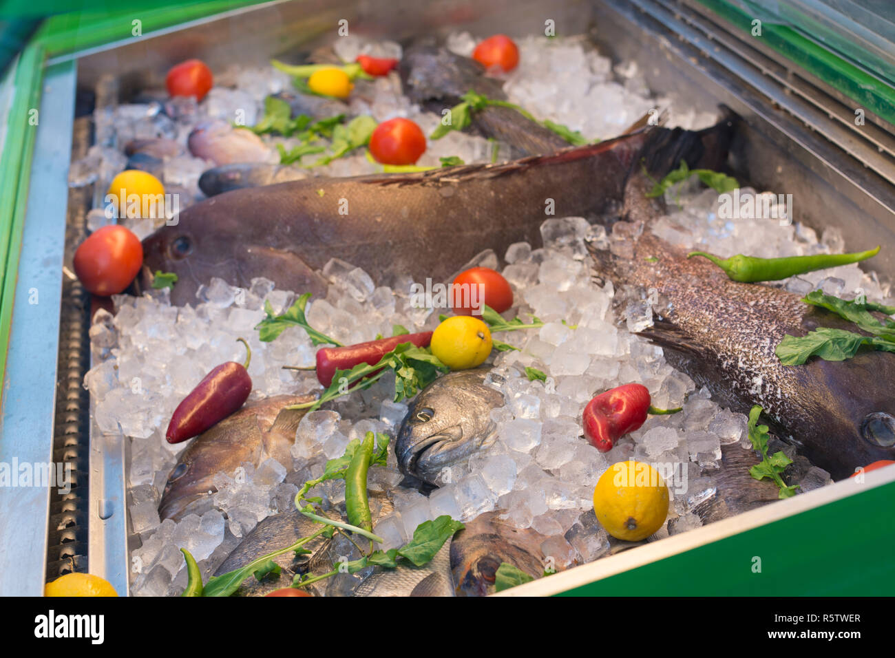 Seafood and fish fridge with fresh fish and seafoods Stock Photo - Alamy