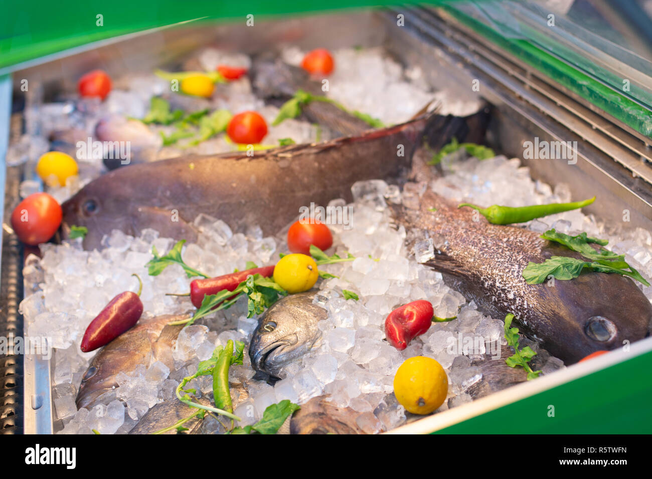 Seafood and fish fridge with fresh fish and seafoods Stock Photo - Alamy