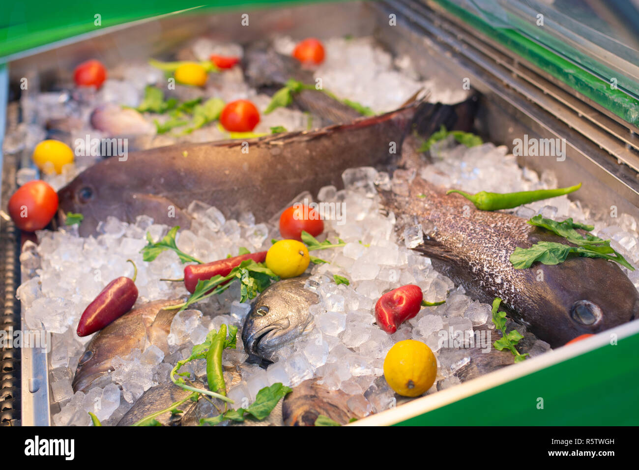 Seafood and fish fridge with fresh fish and seafoods Stock Photo - Alamy