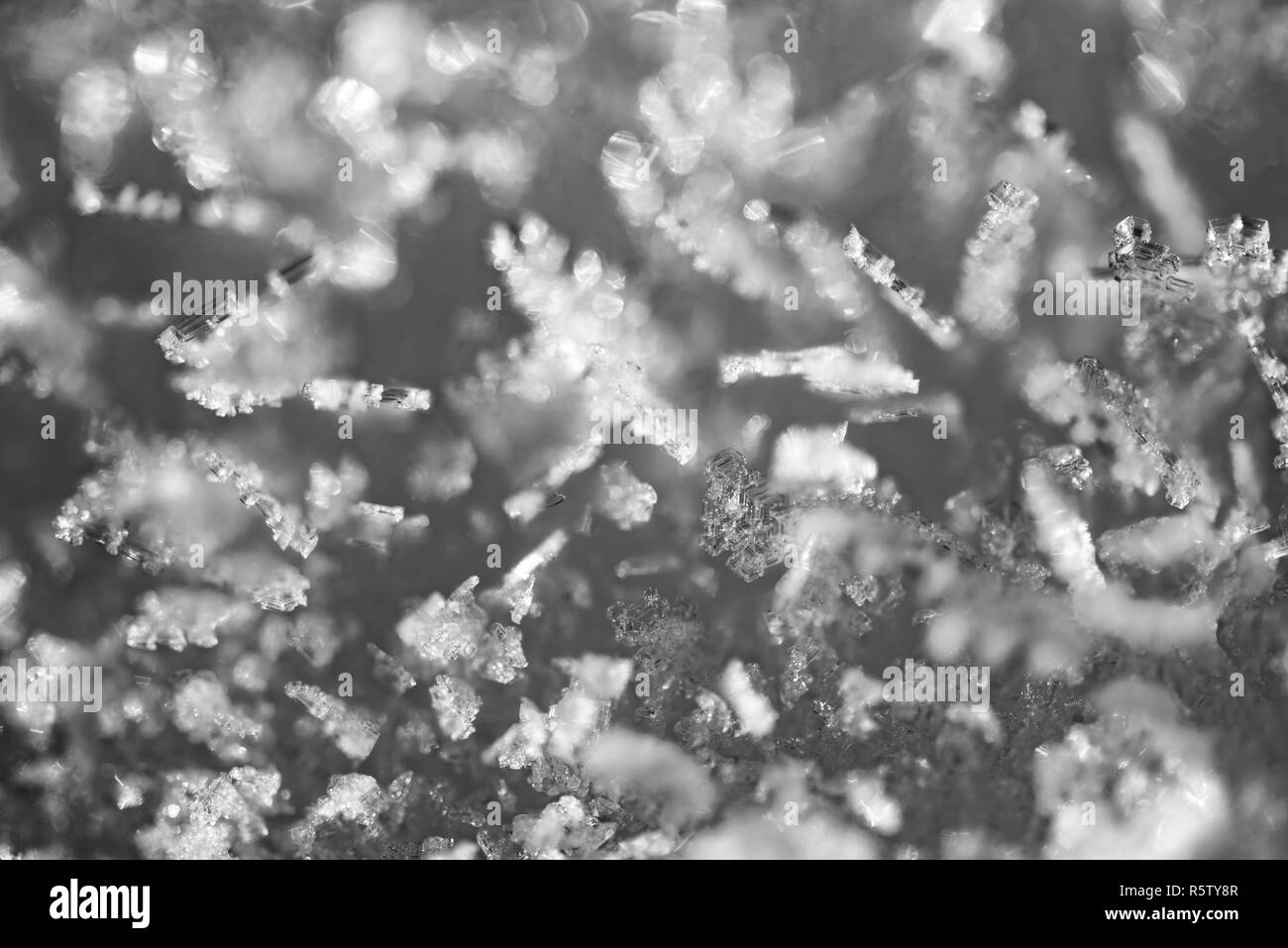 Macro of snow crystals, snowflakes. monochrome effect Stock Photo - Alamy