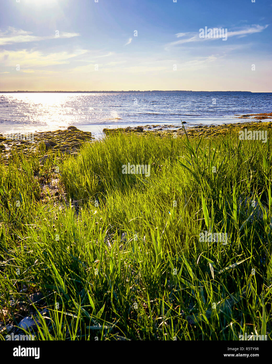 Sunshine on the seagrass hi-res stock photography and images - Alamy