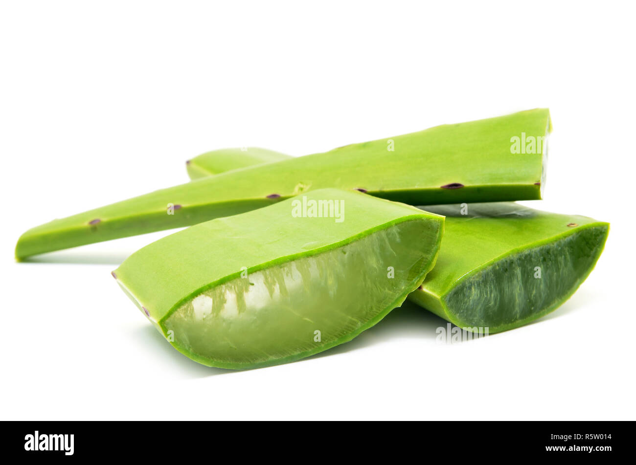 Aloe vera fresh leaf isolated Stock Photo - Alamy