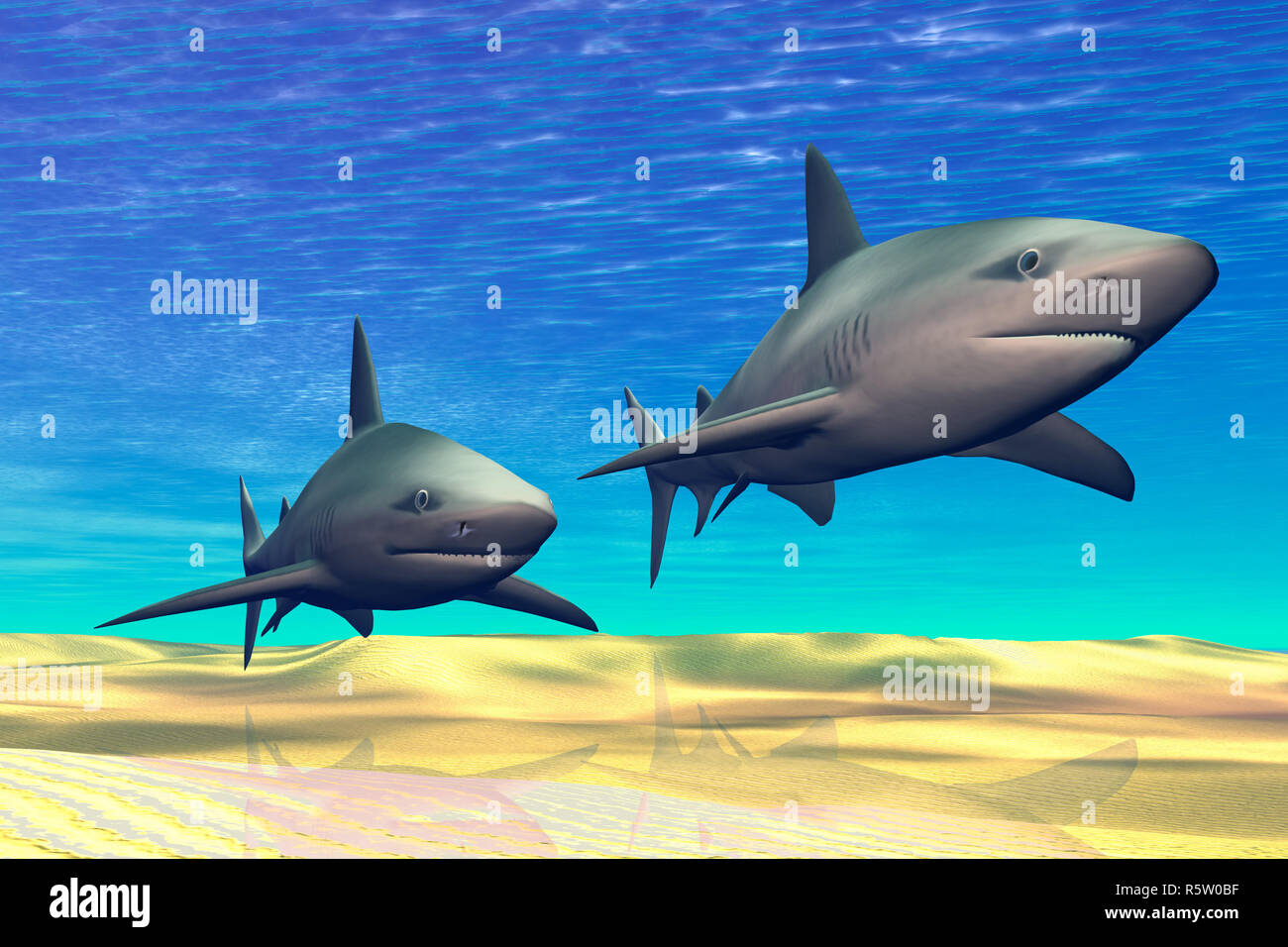 Maco shark hi-res stock photography and images - Alamy