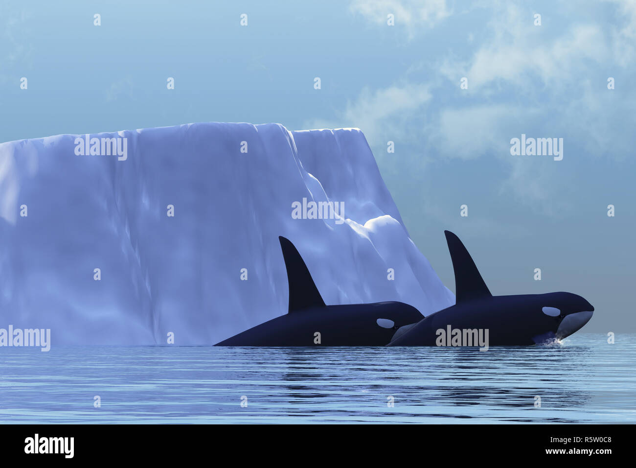 Orca pod underwater hi-res stock photography and images - Alamy