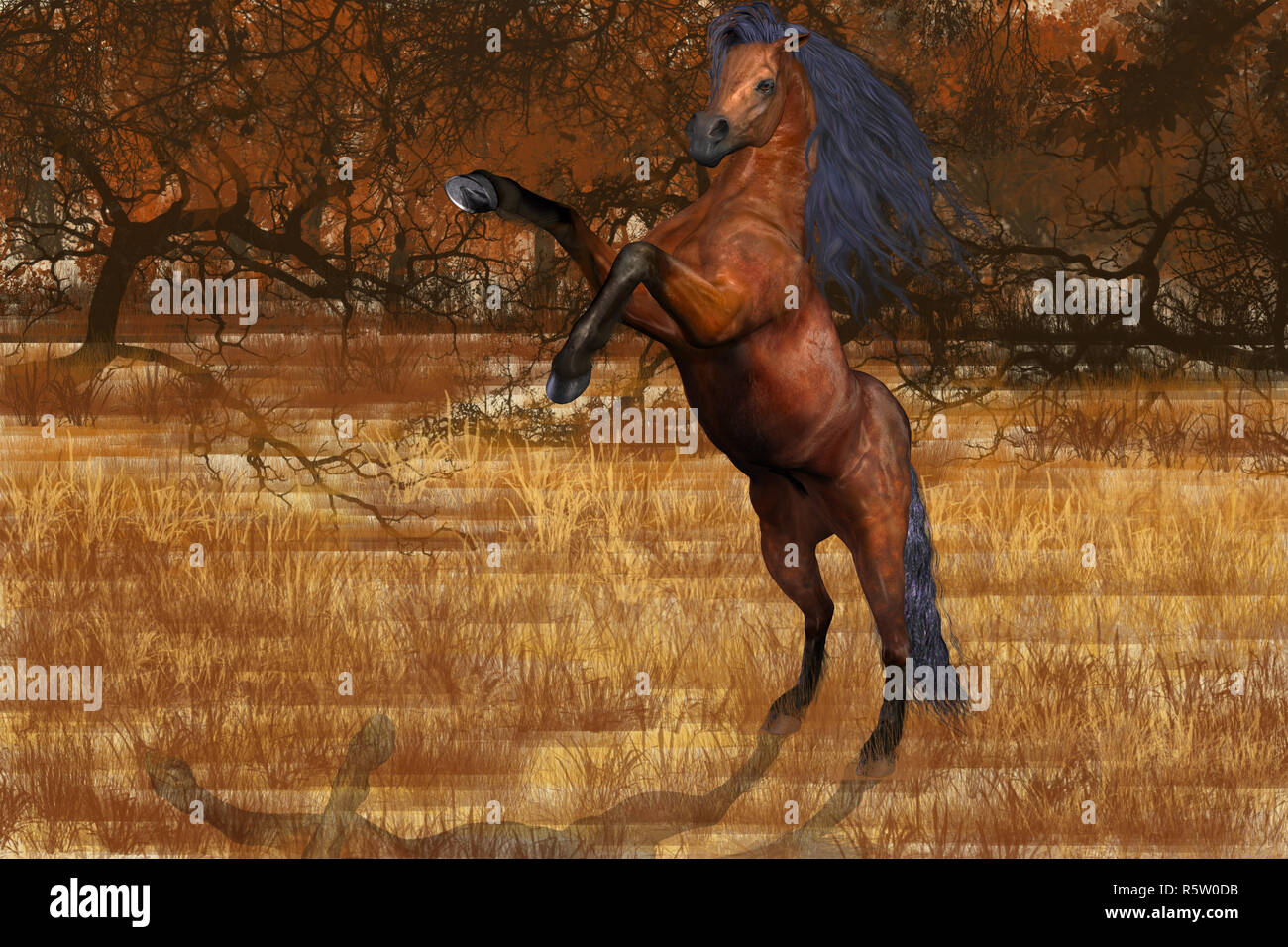 Trotter the pony hi-res stock photography and images - Alamy