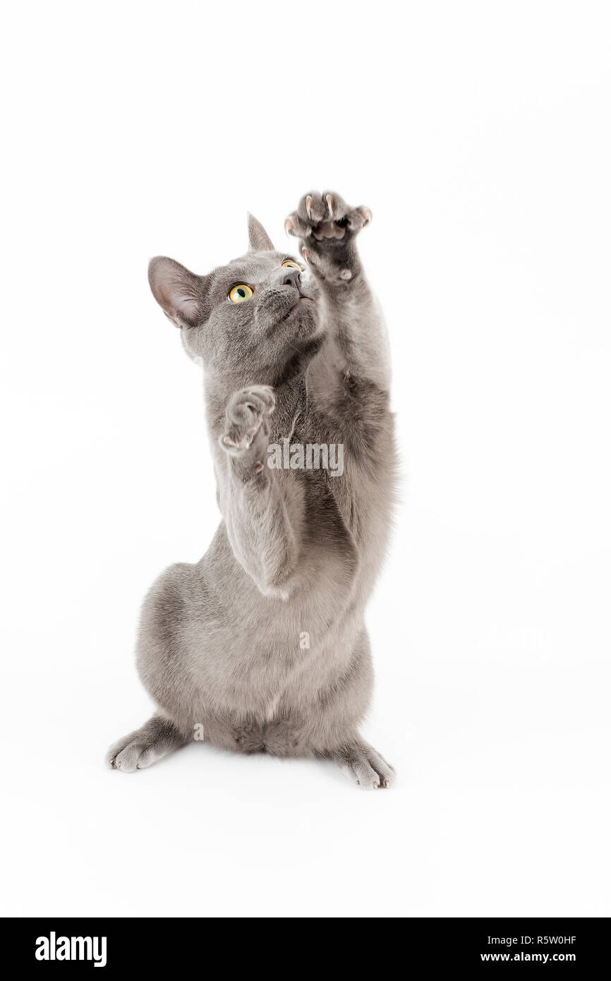 14987 hi-res stock photography and images - Alamy