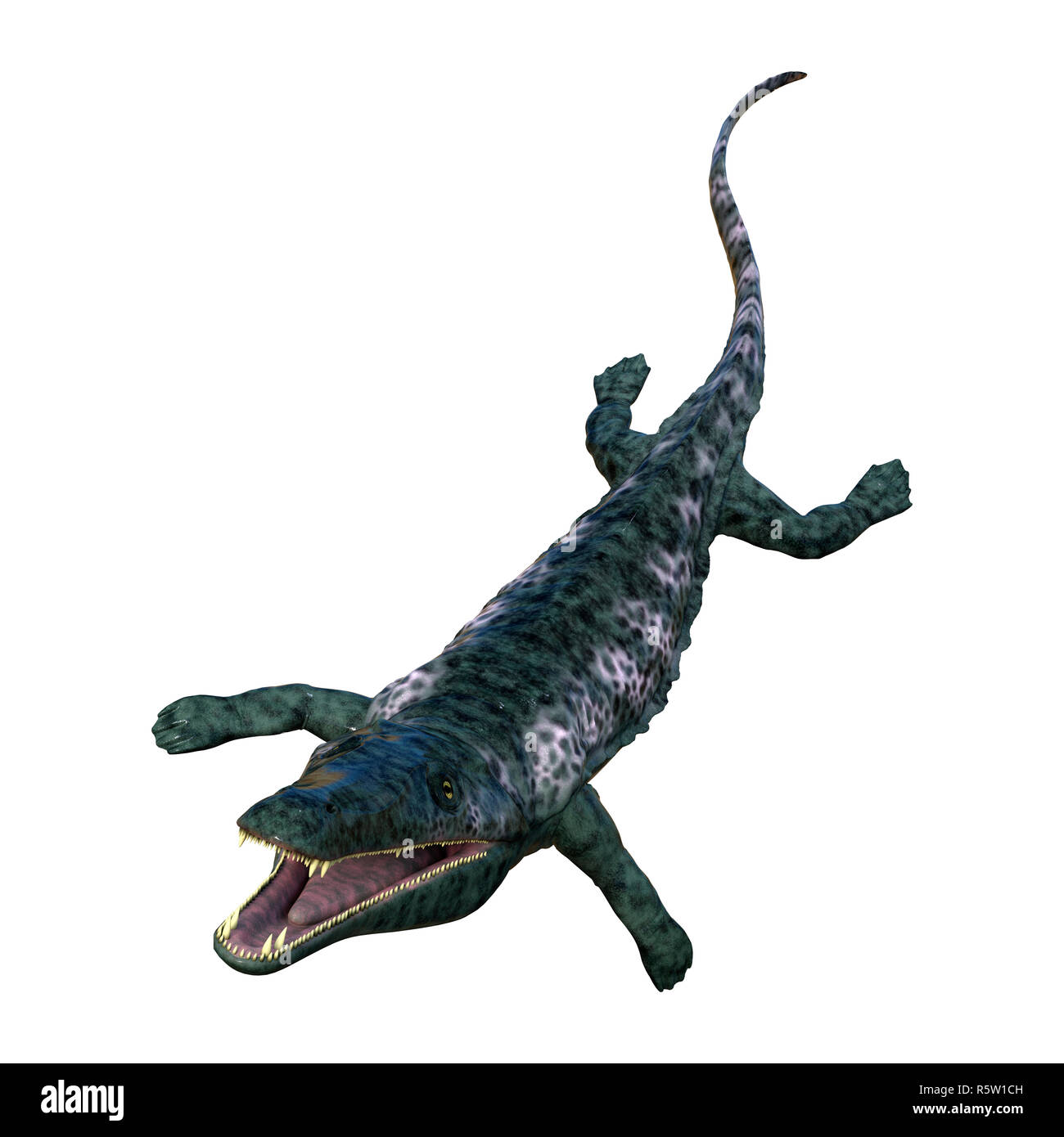 Labyrinthodontia High Resolution Stock Photography and Images - Alamy