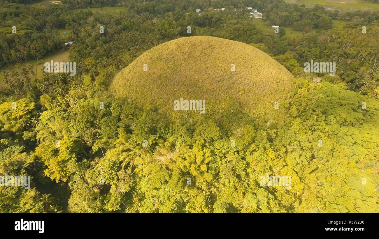 Amazingly shaped Chocolate hills on sunny day on Bohol island ...