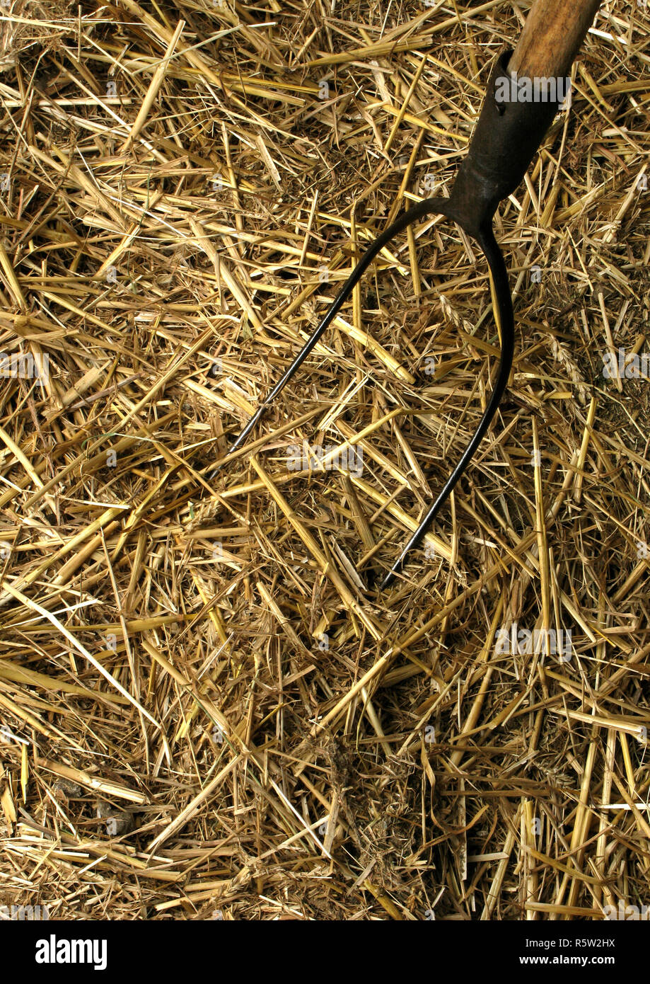Fork in the straw Stock Photo - Alamy