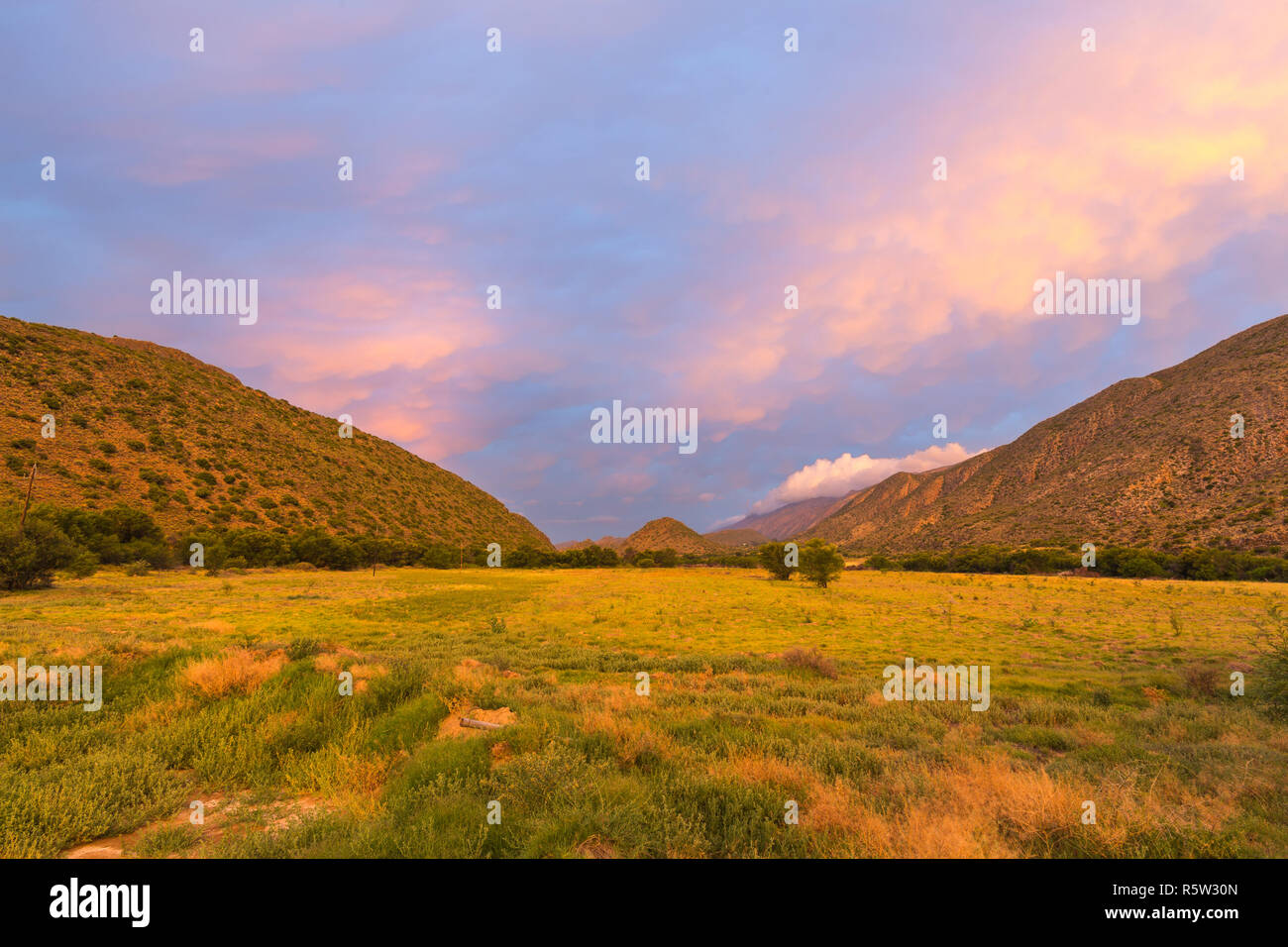 Driefontein hi-res stock photography and images - Alamy