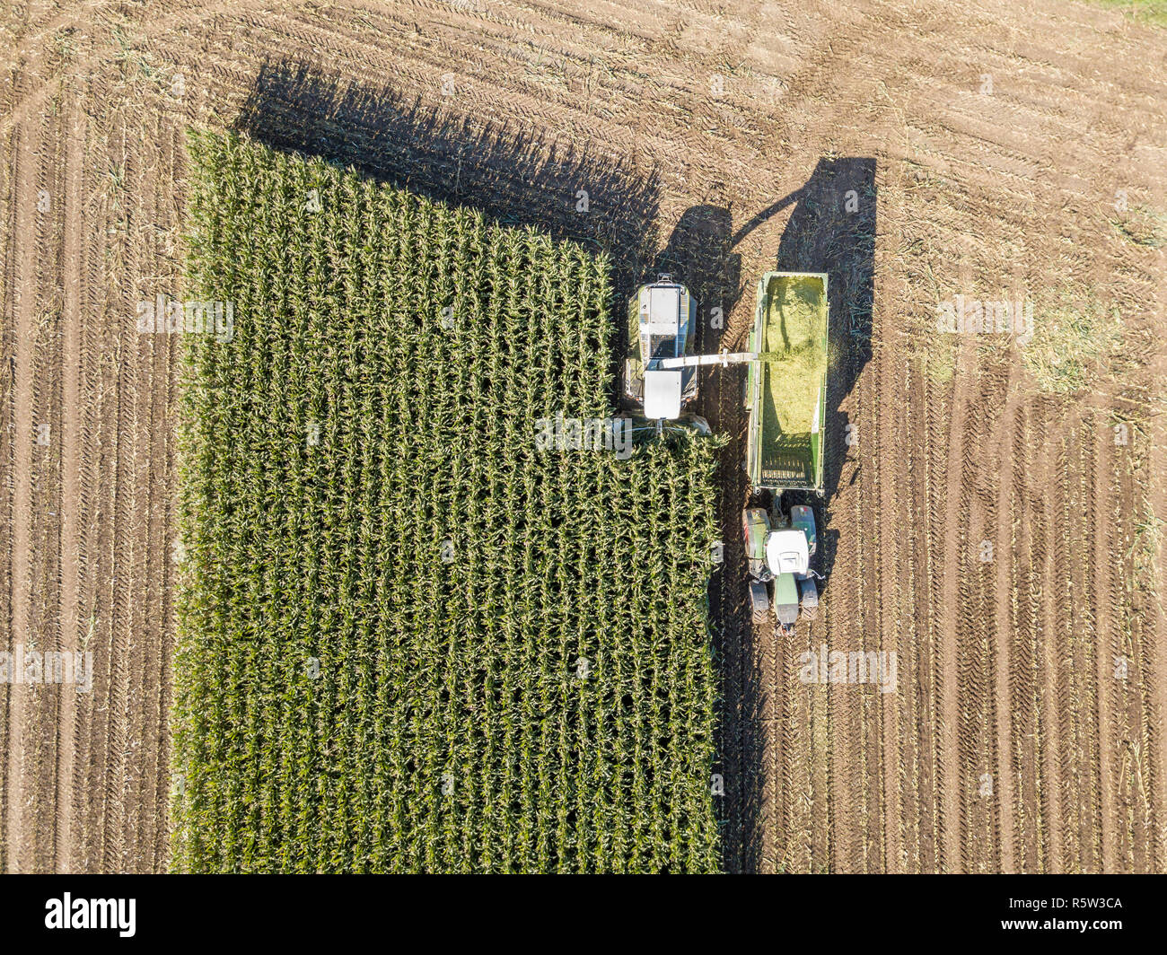 Aerial view of a harvest Stock Photo - Alamy