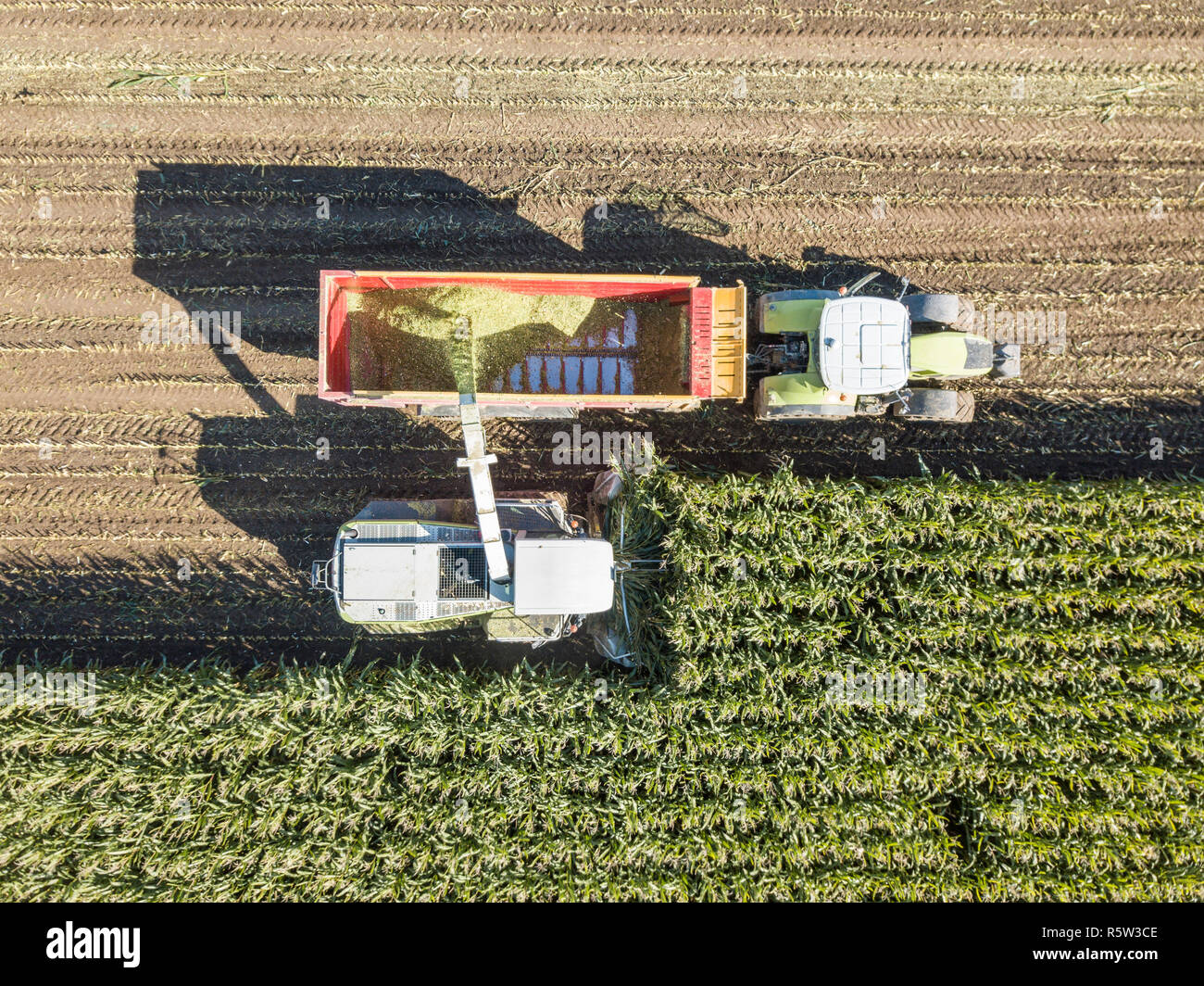 Aerial view of a harvest Stock Photo - Alamy