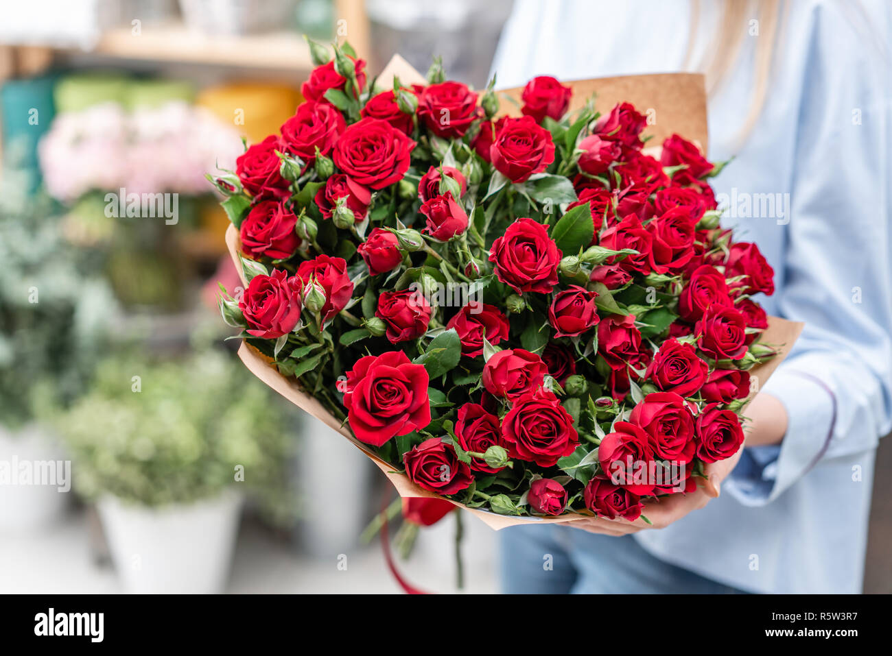 bouquet in the hands of a cute girl. garden red spray roses. Color ...