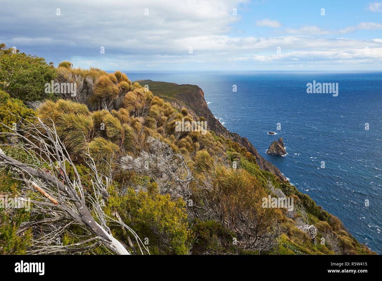 Landscape in Tasmania Stock Photo - Alamy