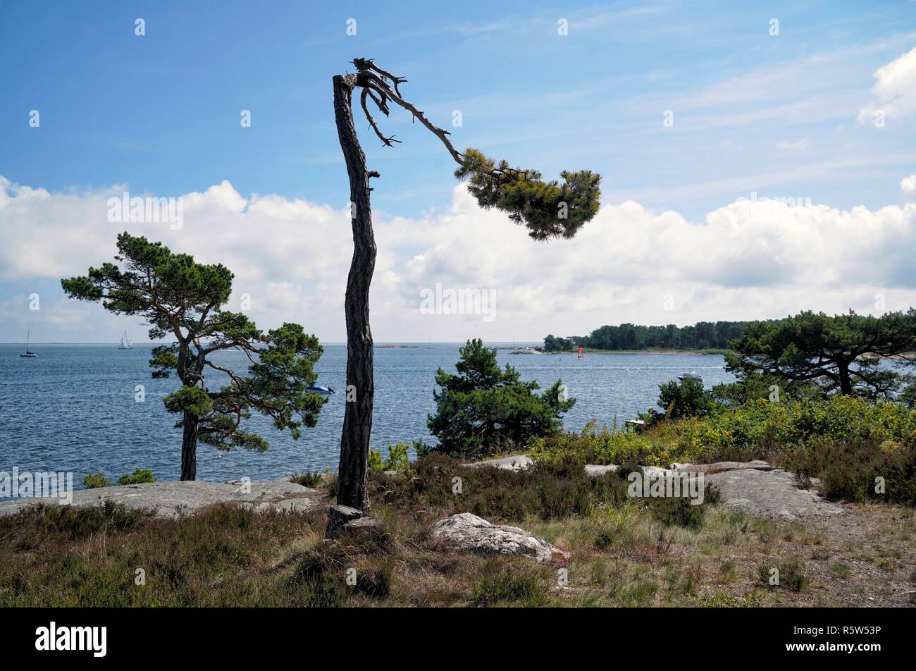 Sandhamn sandhamn island sweden hi-res stock photography and images - Alamy