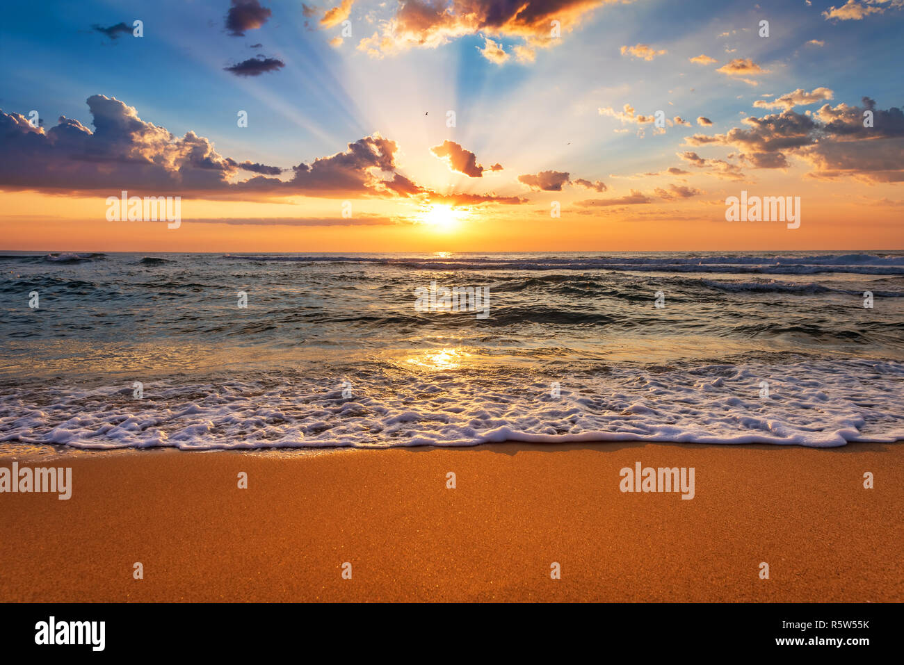 Colorful ocean beach sunrise with deep blue sky and sun rays Stock ...