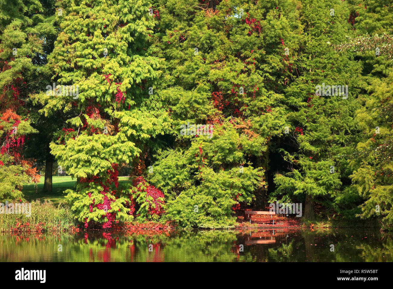 idyllic place on the lake Stock Photo - Alamy