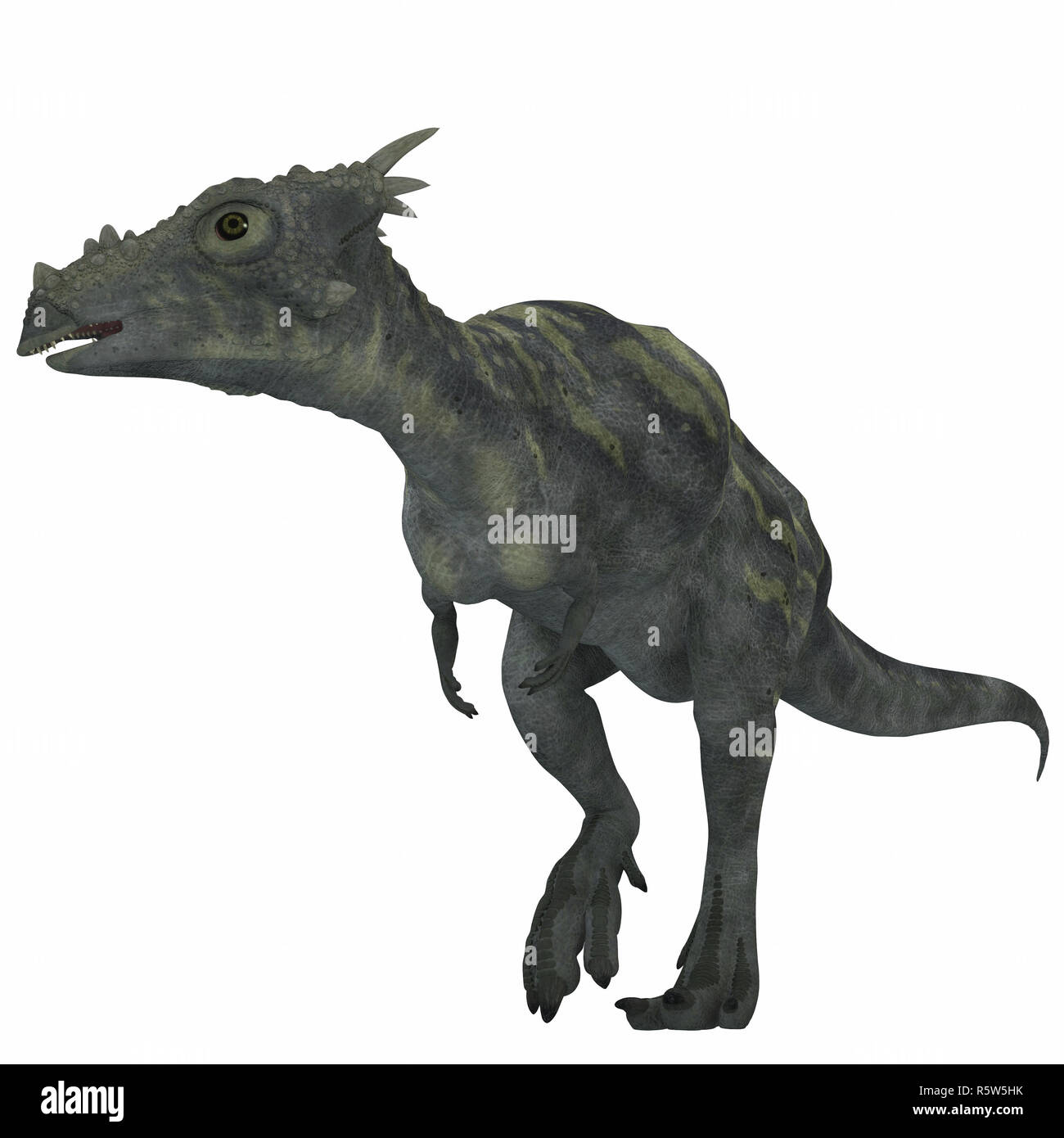 Dracorex hi-res stock photography and images - Alamy