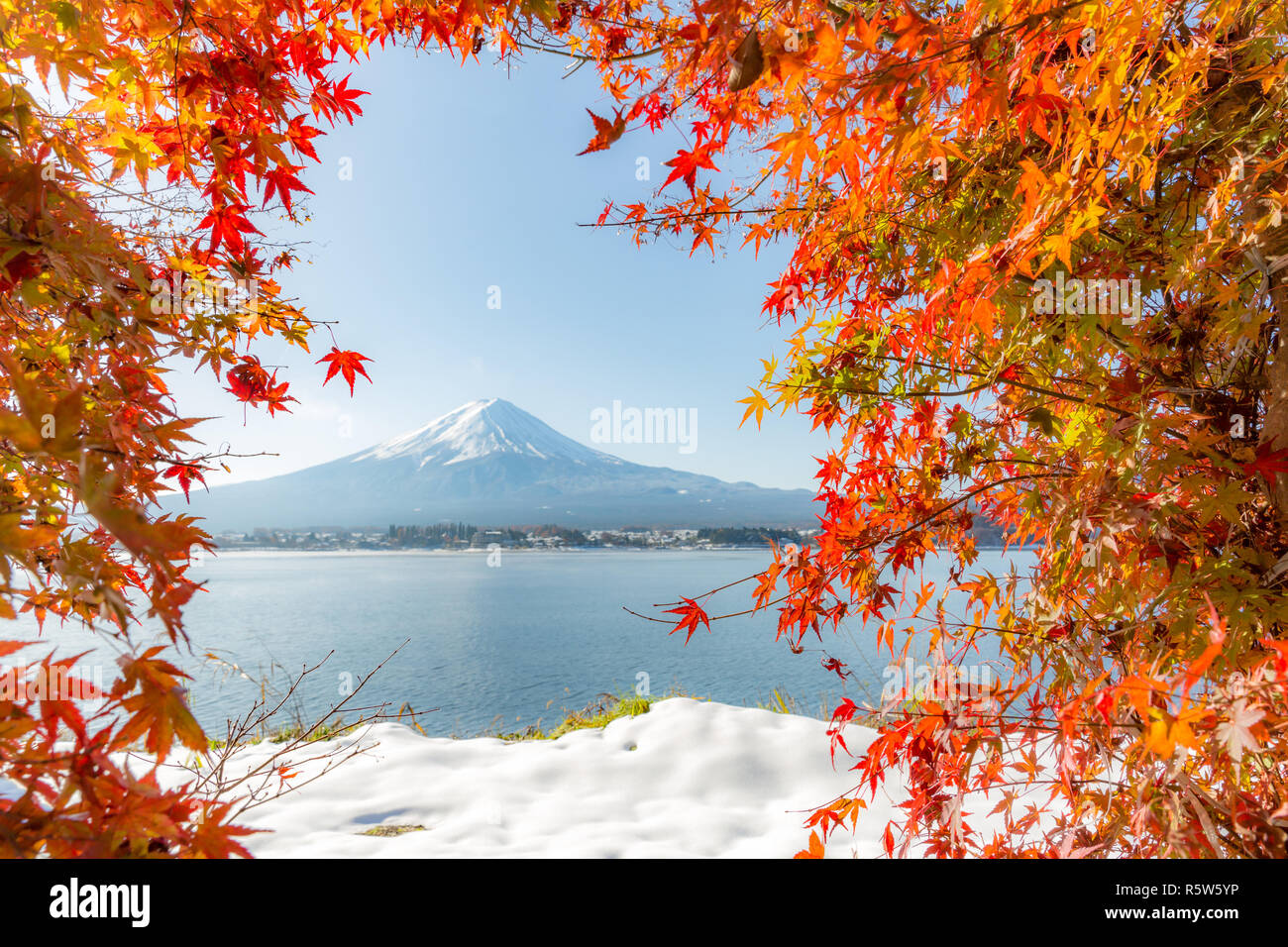 Mt. Fuji in autumn Stock Photo - Alamy