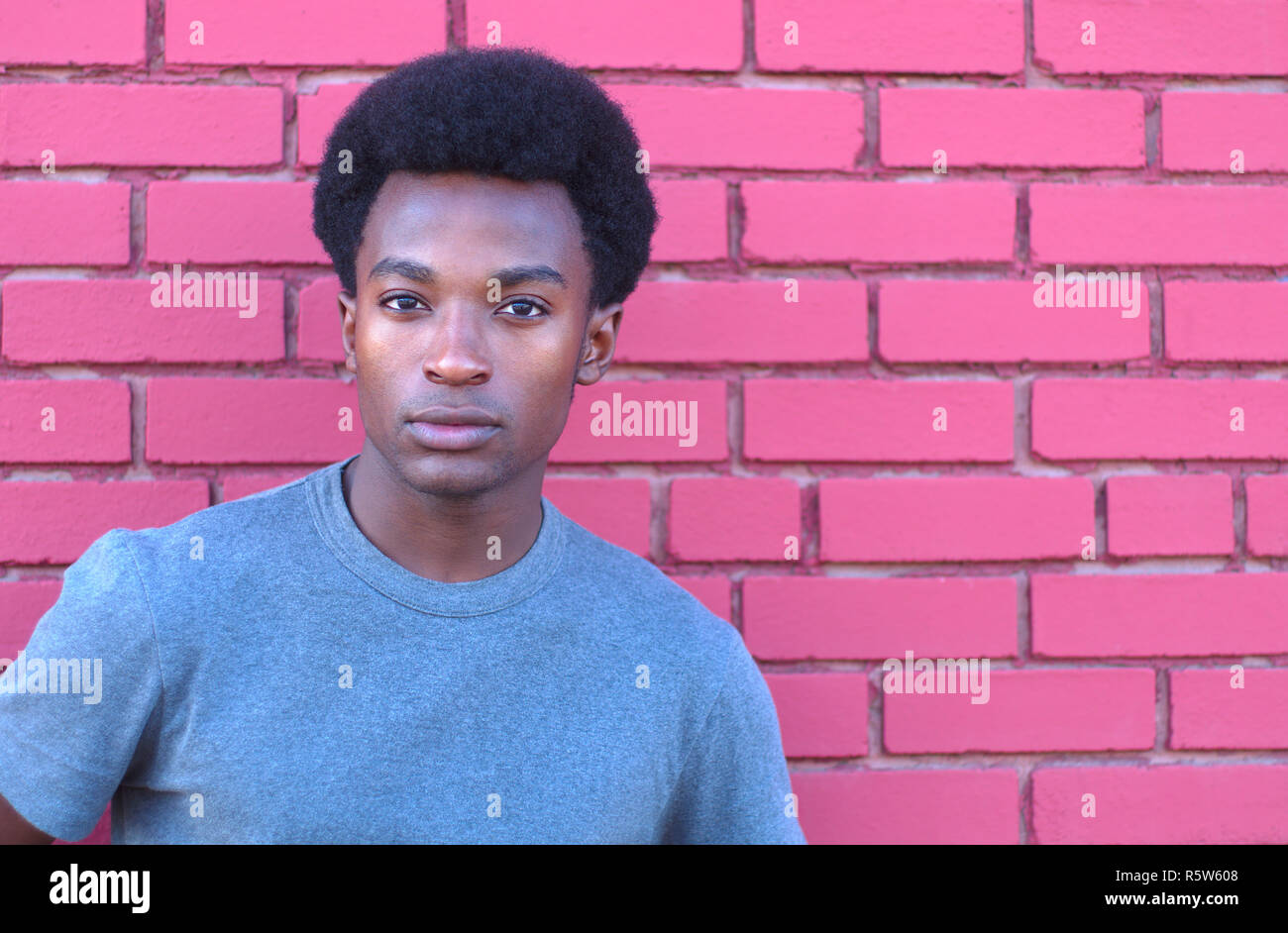 young man t-shirt portrait brick wall Stock Photo - Alamy
