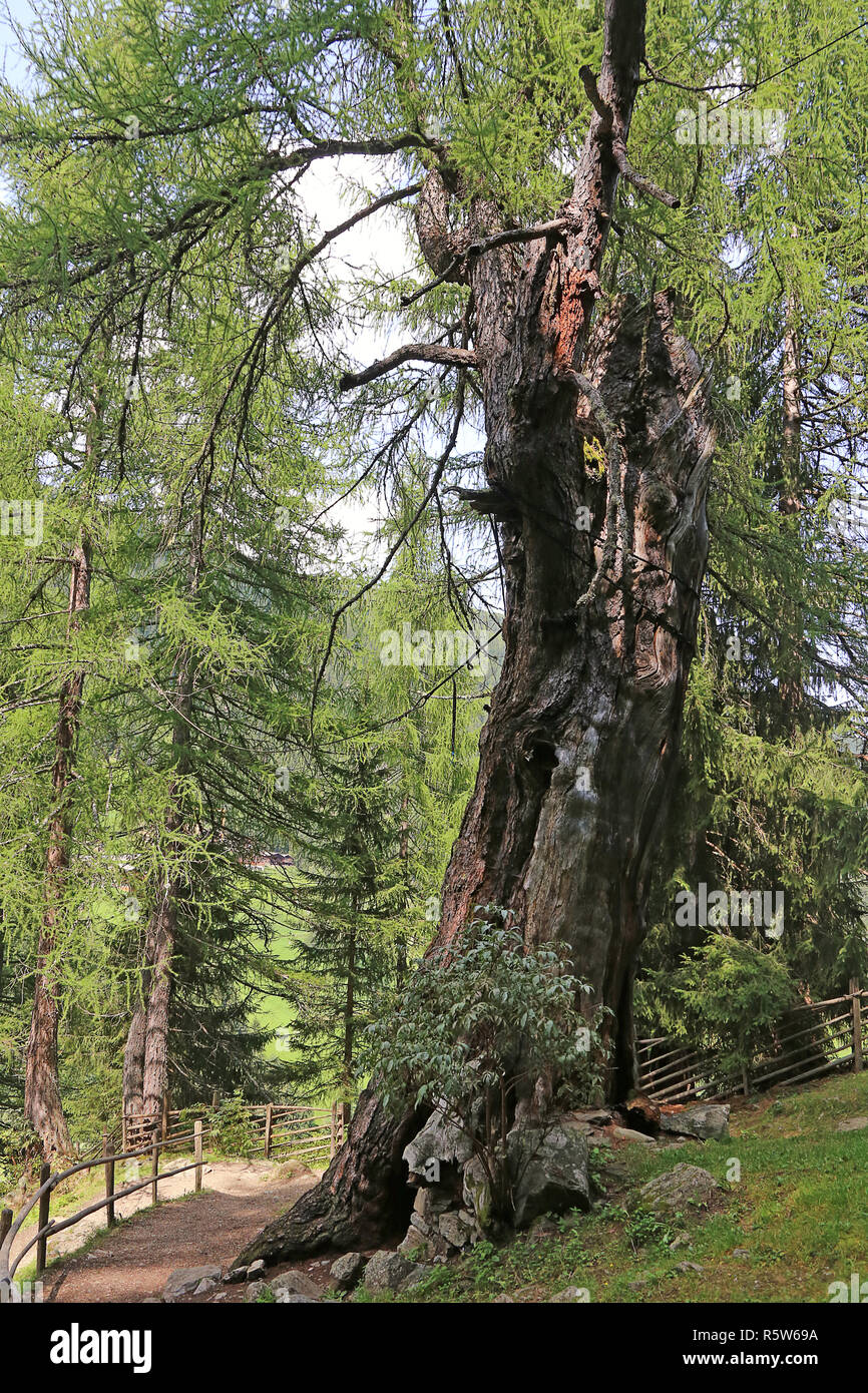 St rche hi-res stock photography and images - Alamy