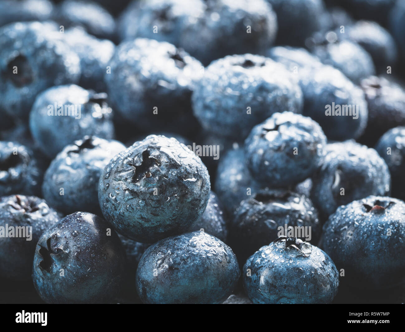 Extreme close up Blueberries Stock Photo - Alamy