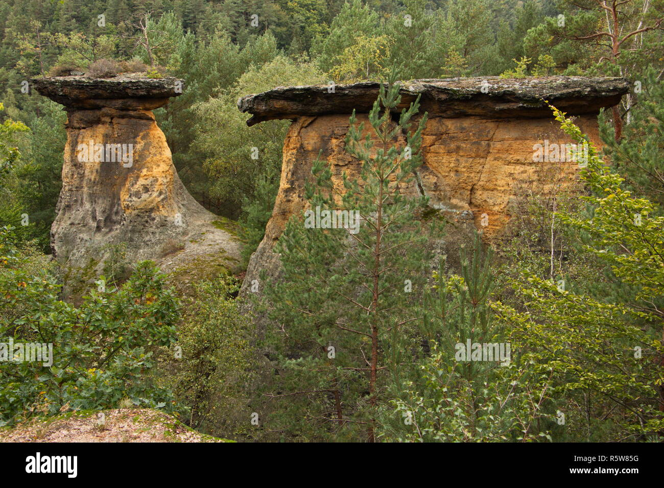 Sandsteinfelsen hi-res stock photography and images - Alamy