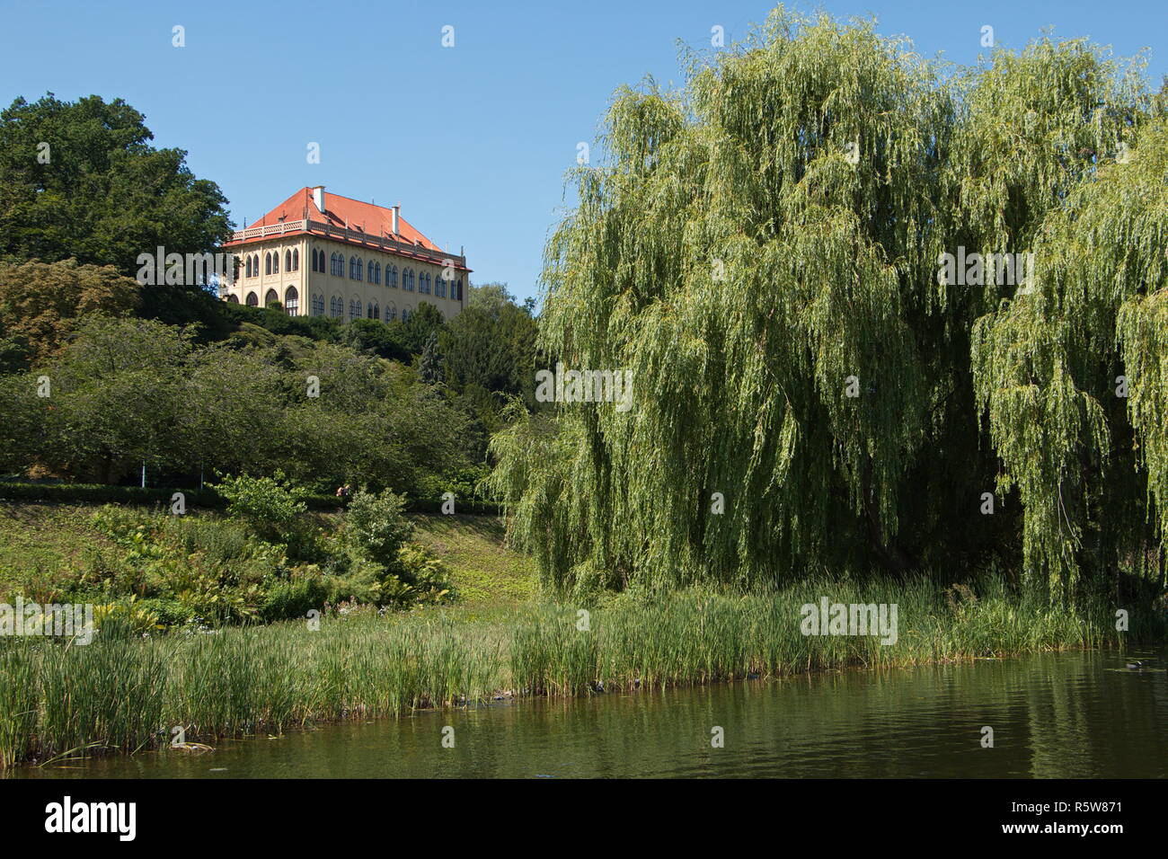 park stromovka in prague Stock Photo - Alamy