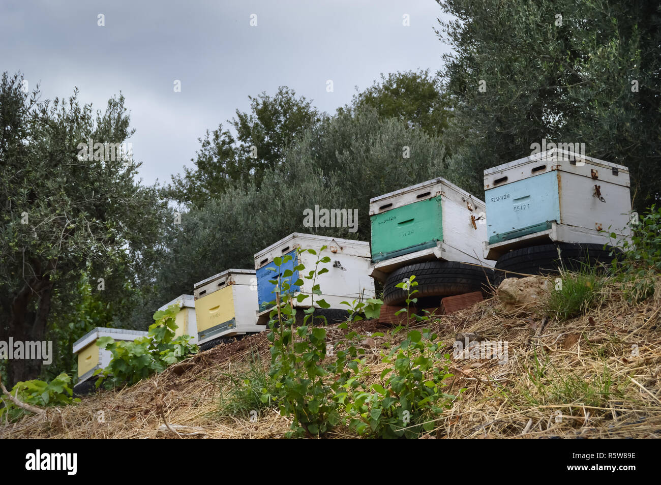 Different bee hives hi-res stock photography and images - Alamy