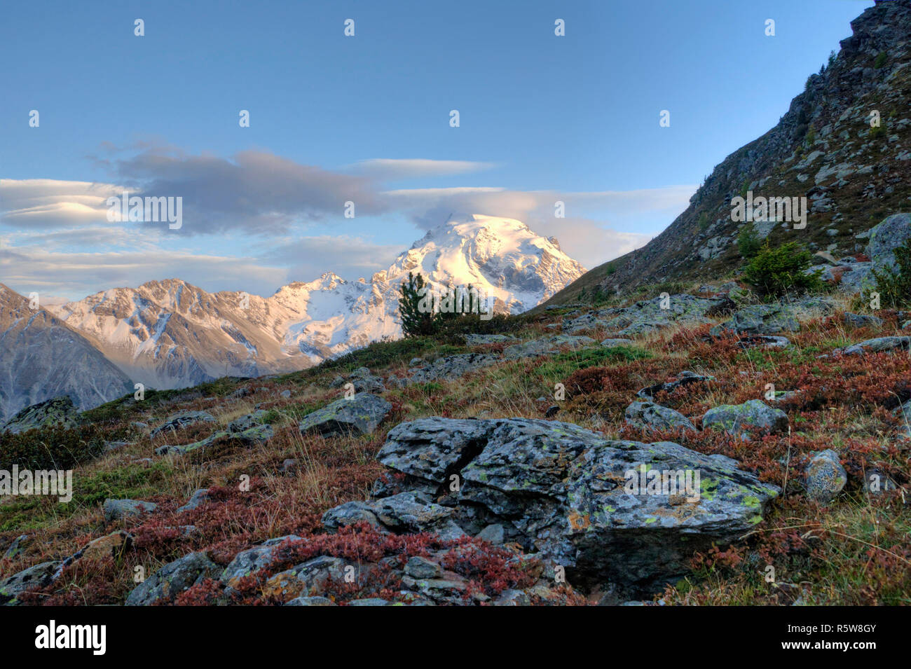 Stelvio nature park in the ortler alps hi-res stock photography and ...