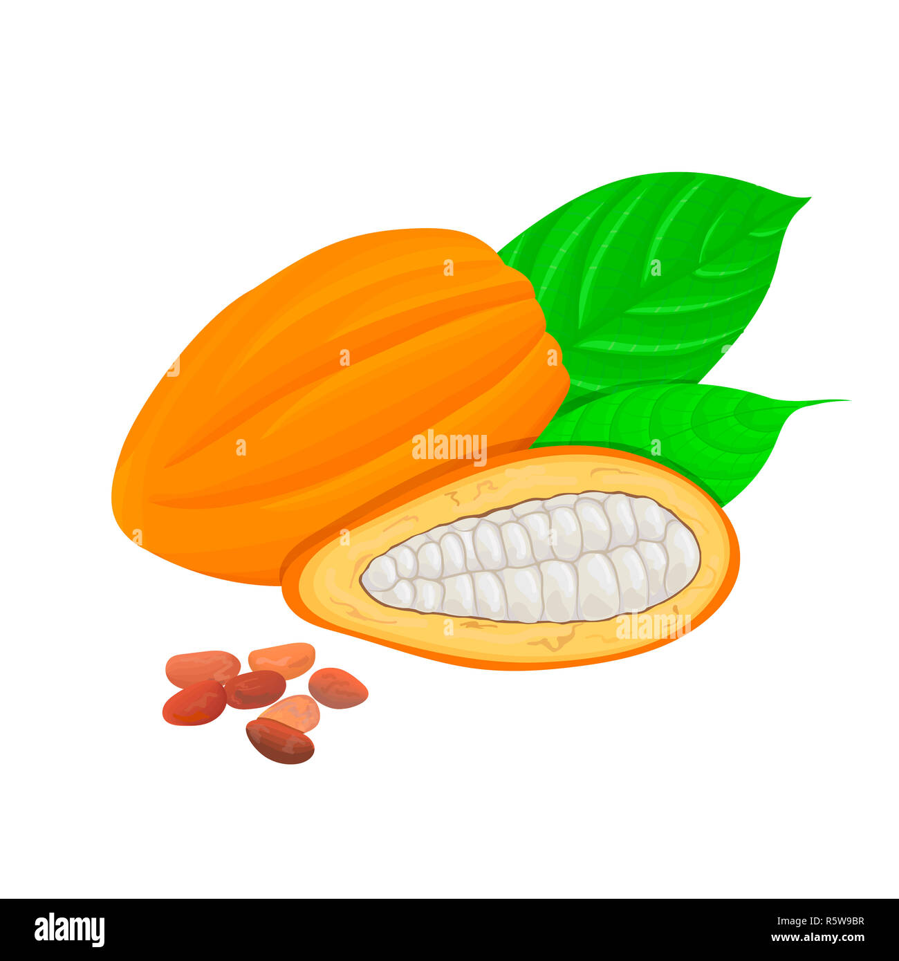 Cacao pod hi-res stock photography and images - Alamy