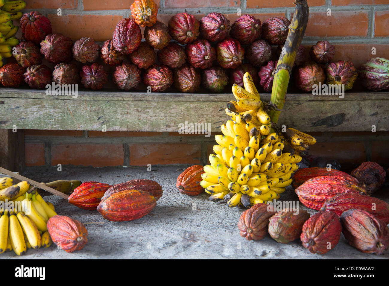 Cacao pod for sale hi-res stock photography and images - Alamy