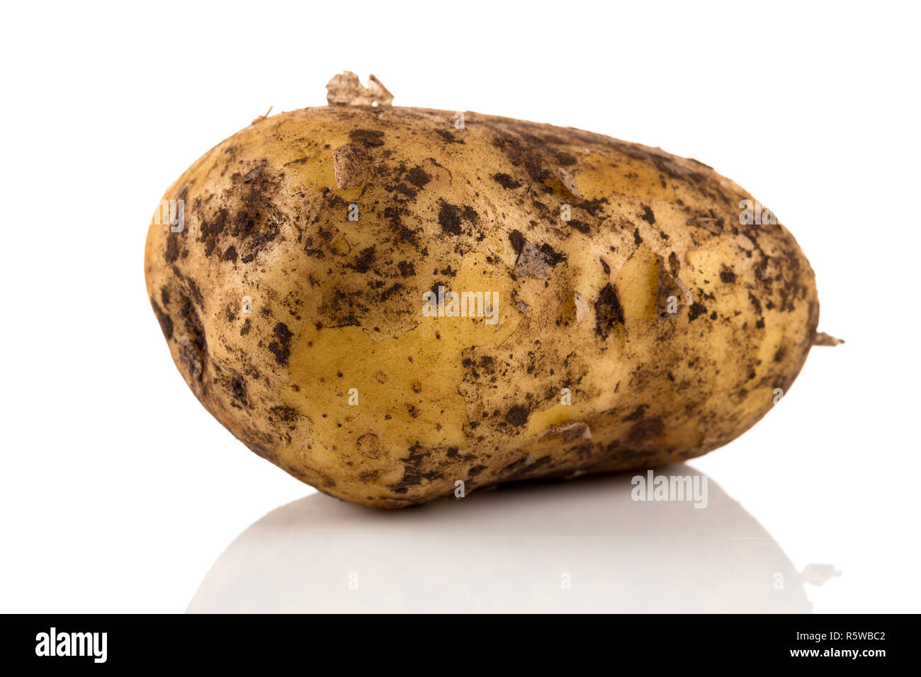 Dirty potato isolated on white background Stock Photo - Alamy