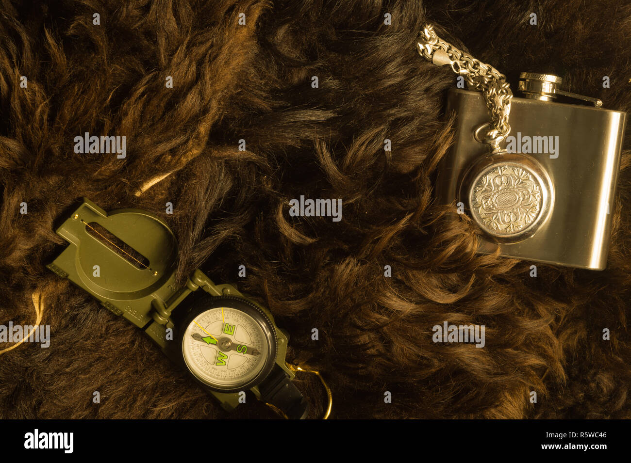Modern compass and old clock on fur background. navigation Stock Photo ...