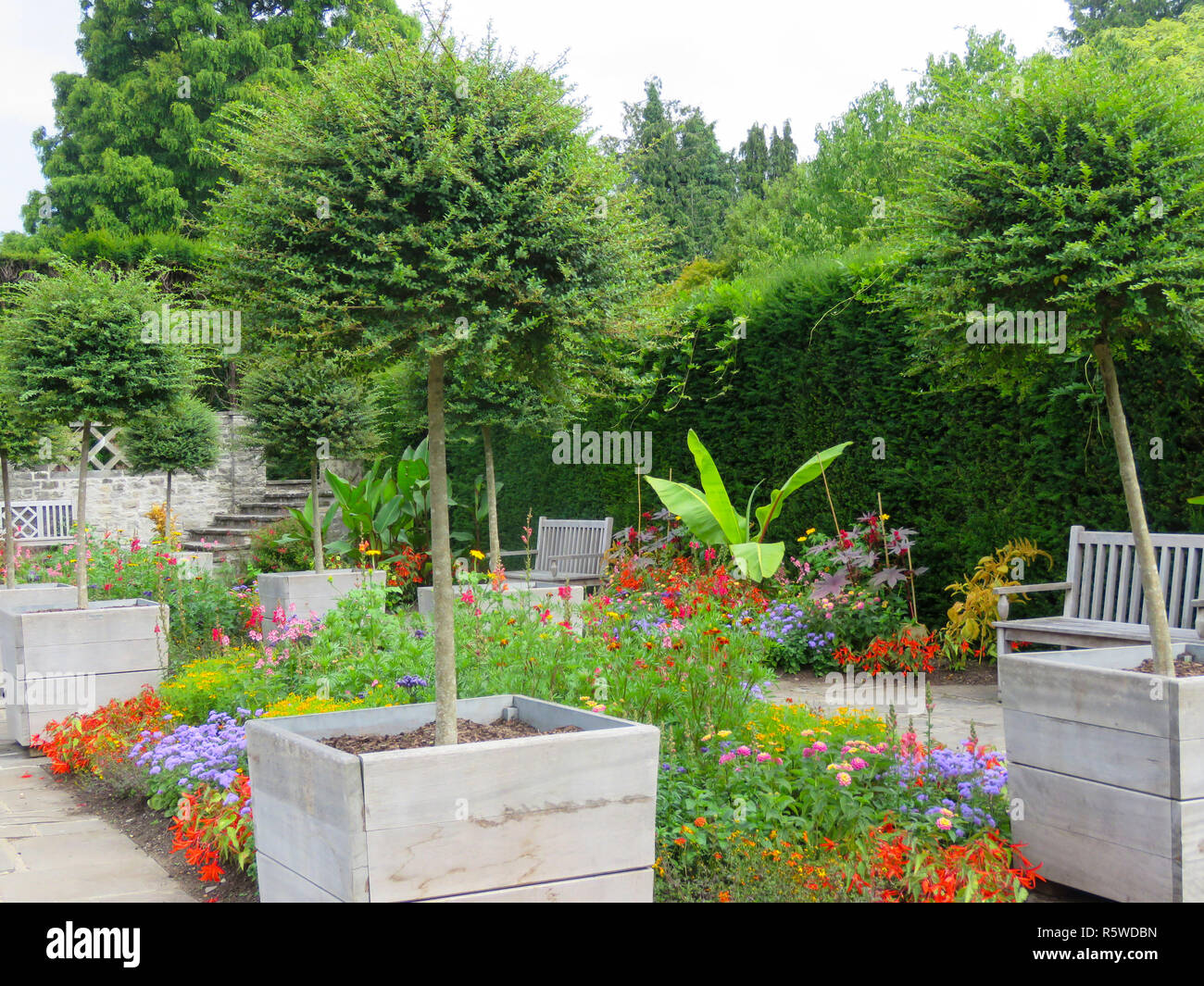 Banana Tree Garden Uk Stock Photos & Banana Tree Garden Uk Stock Images ...