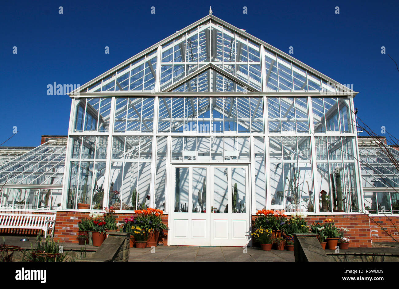 Cacti orchid house hi-res stock photography and images - Alamy