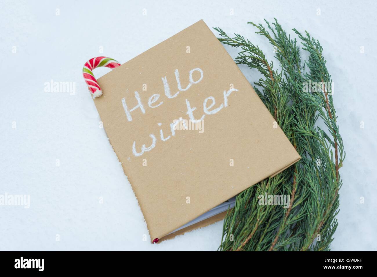Hello winter, winter book on snowy background, with branch of cypress ...