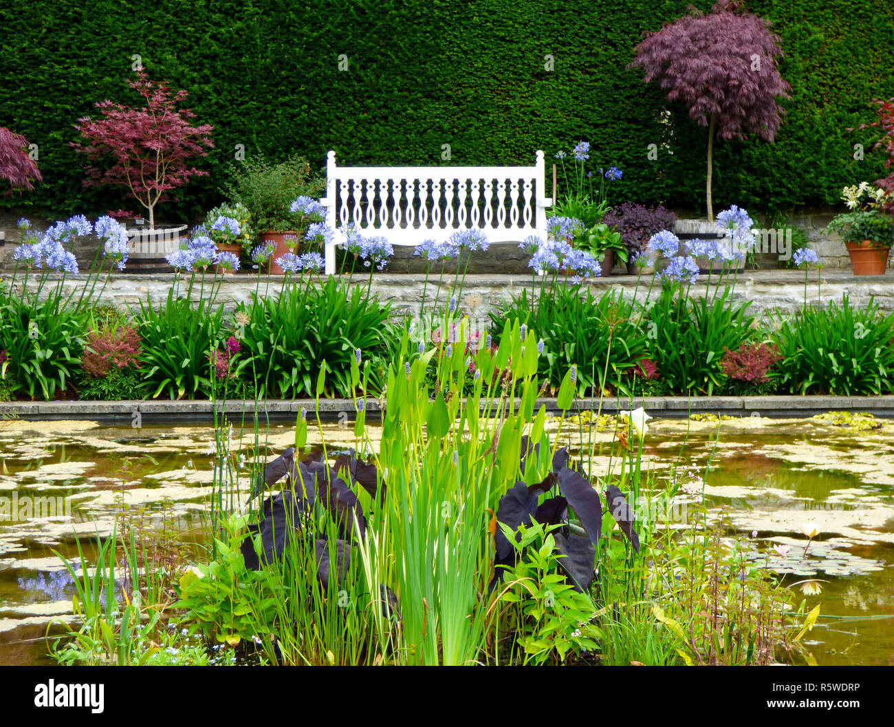 Bench painted red white and blue hi-res stock photography and images ...