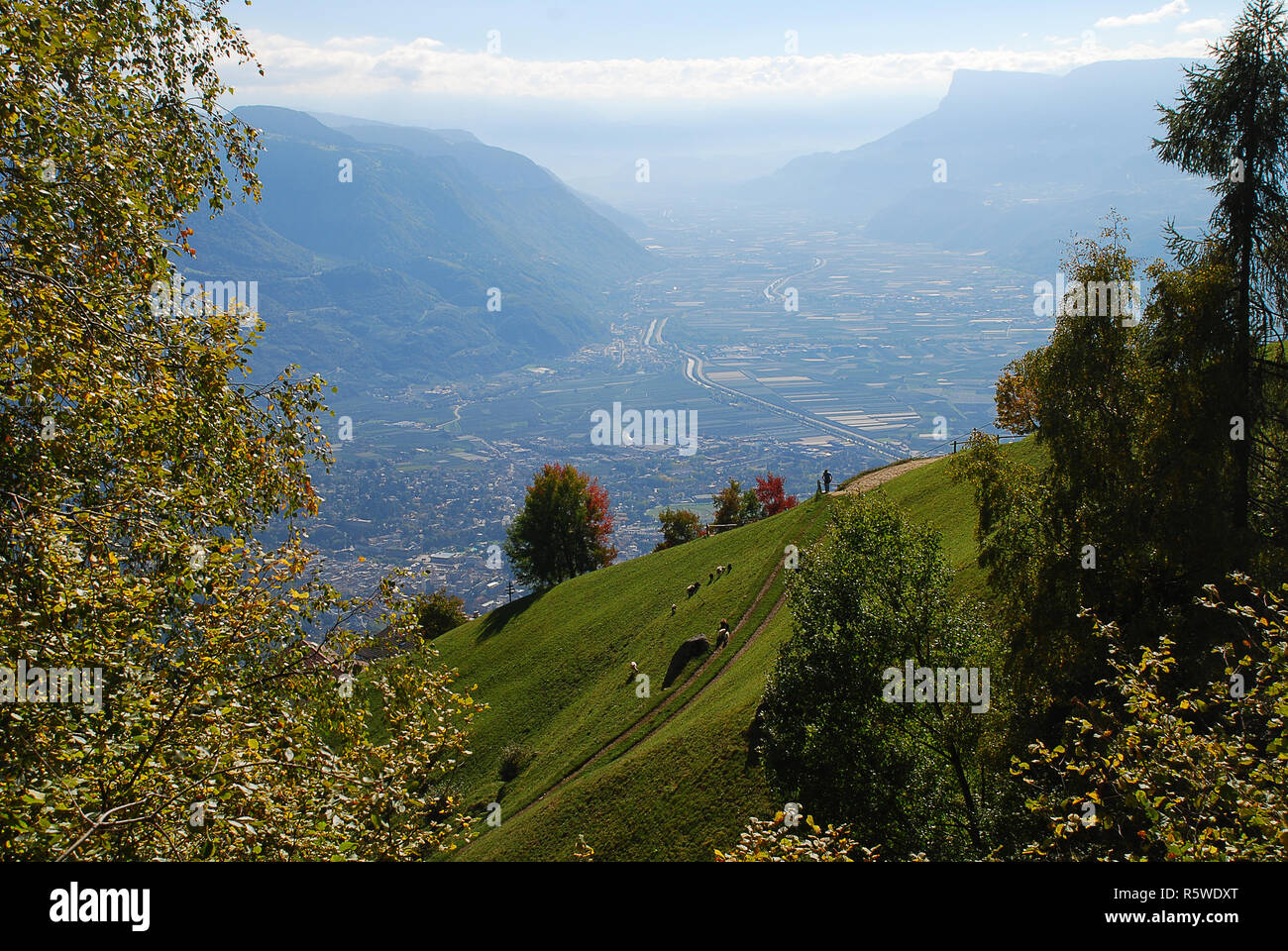 Panorama view on valleys and mountains (Ortler Alps) in the italian ...
