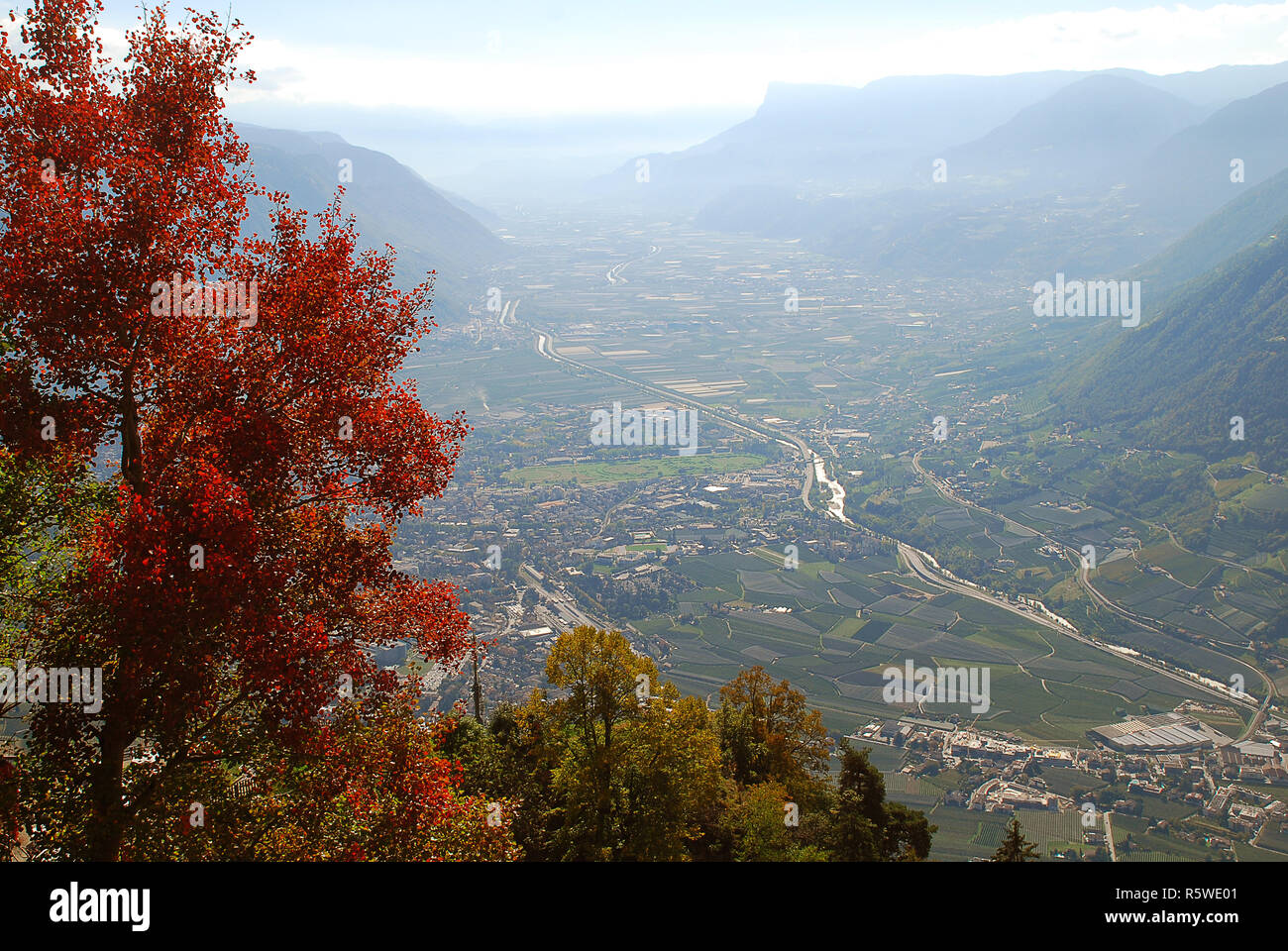 Panorama view on valleys and mountains (Ortler Alps) in the italian ...