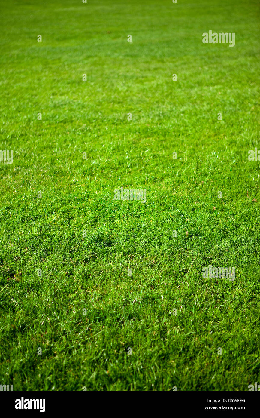 Green background in Spring Stock Photo - Alamy