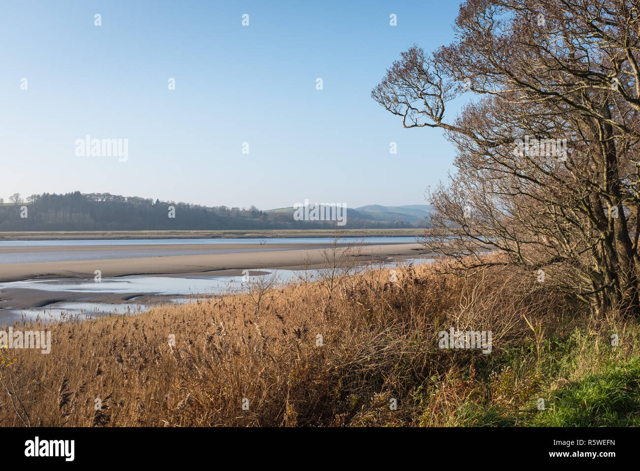 River Solway Stock Photos & River Solway Stock Images - Alamy